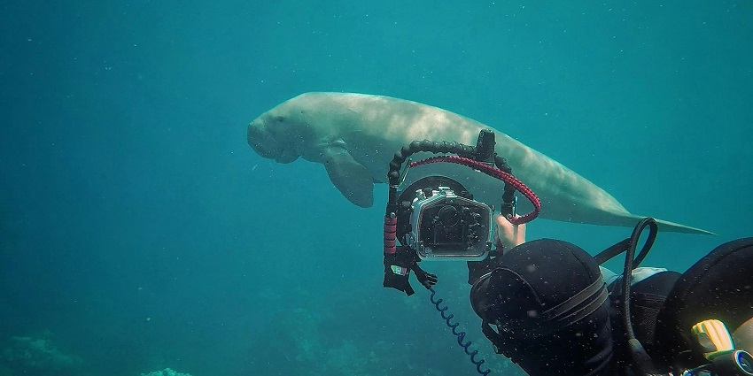 Scuba Diving In Sri Lanka: Exploring The Vibrant Marine Life - TripXL