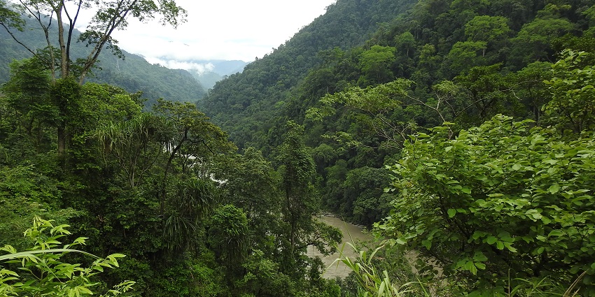 Nameri National Park: Exploring Assam’s Exotic Wildlife - TripXL