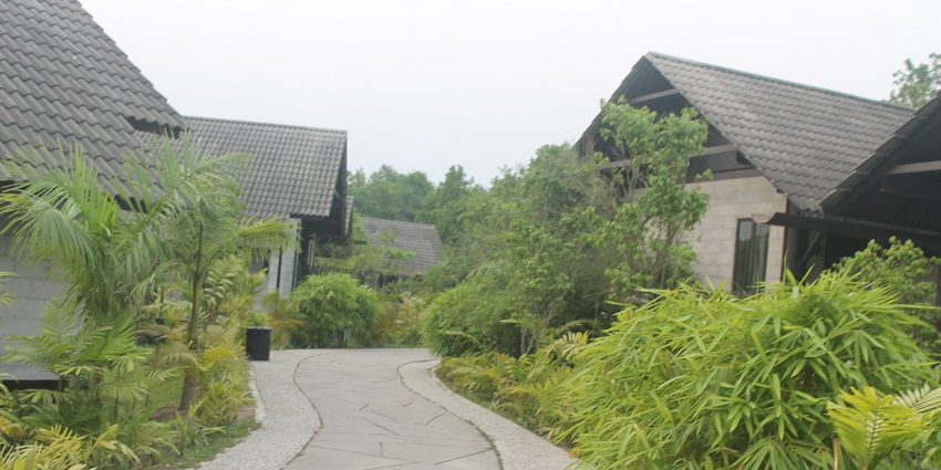 New Year Party In Wayanad: A Glittering New Year In Paradise - TripXL