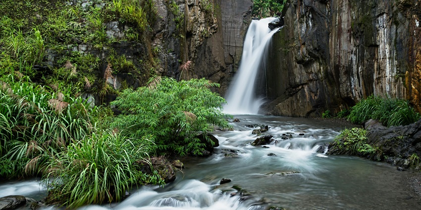 Explore Waterfalls In Nagaland: A Nature Lover’s Paradise - TripXL