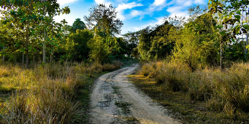 10 Places To Visit Near Dibrugarh To Witness Surreal Beauty - TripXL