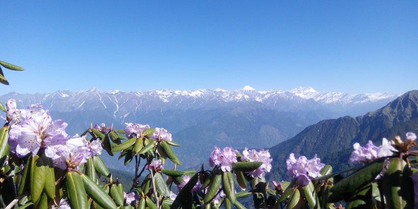 Top 14 Things To Do In Manali In December: Hilltop Wintercation - TripXL