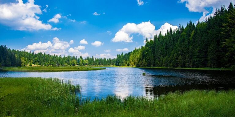 Hohua Picnic Place: A Perfect Family Expedition In Assam - TripXL