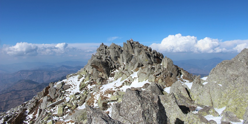 Wildlife Sanctuaries In Himachal Pradesh For Nature Lovers - TripXL