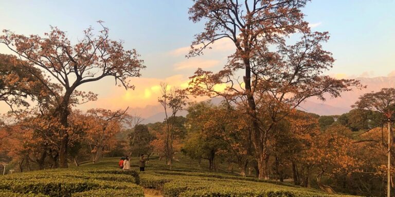 15 Best Places To Visit Near Delhi In April - TripXL