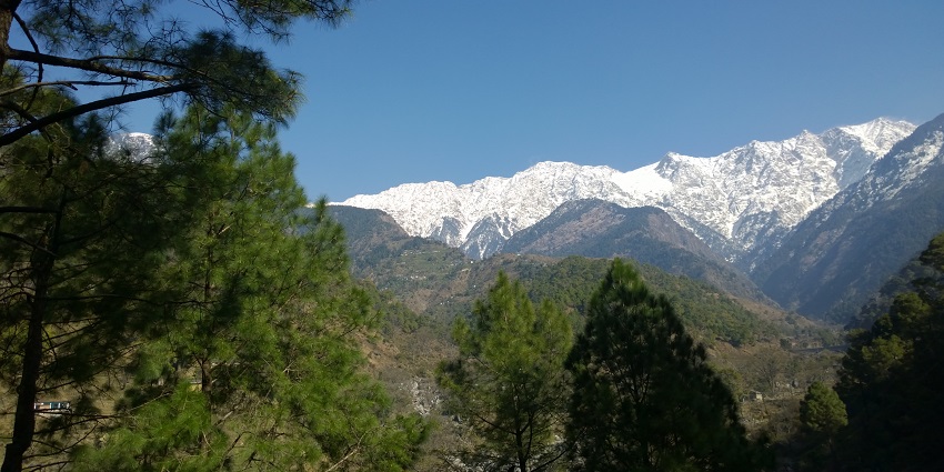 Dhauladhar Wildlife Sanctuary: The Paradise In Himachal - TripXL