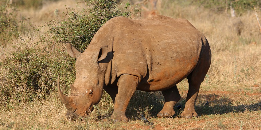 Explore Namdapha National Park: Your Ultimate Travel Guide - TripXL