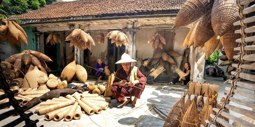 15 Things To Do In Dimapur: All You Need To Know About - TripXL