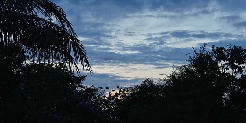 15 Things To Do In Dimapur: All You Need To Know About - TripXL