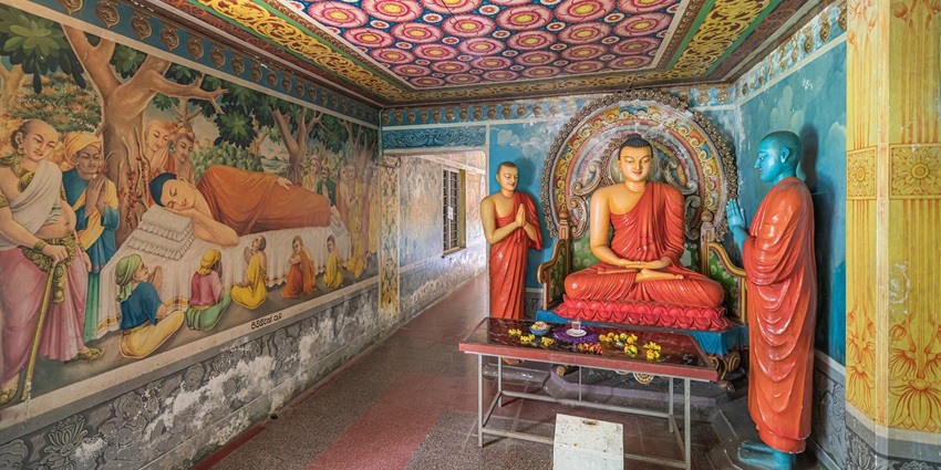 Things To Do In Ella: Get To Explore The Rich Biodiversity - TripXL