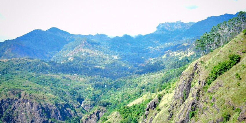 Things To Do In Ella: Get To Explore The Rich Biodiversity - TripXL