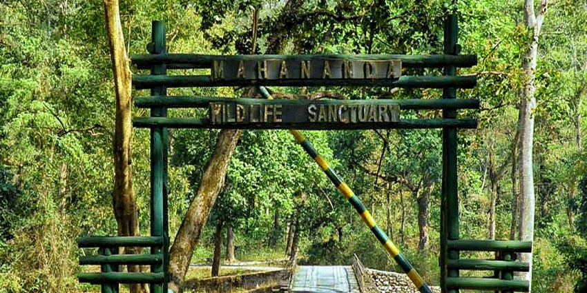 Mahananda Wildlife Sanctuary: Your Next Getaway Into The Wild - TripXL