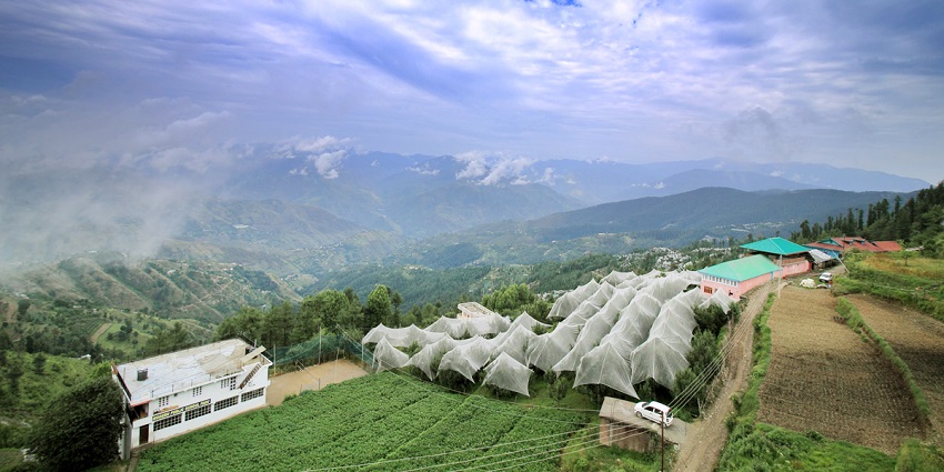 Top 10 Offbeat Places Near Shimla: Unexplored Natural Wonders - TripXL