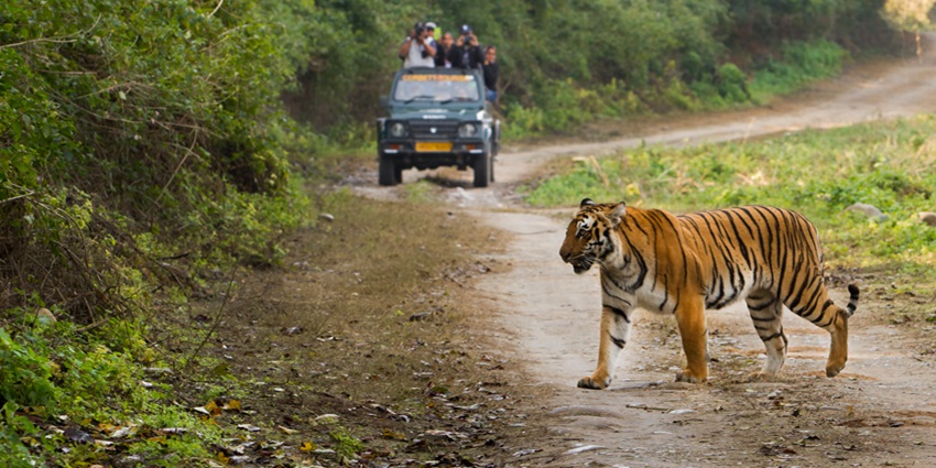 10 National Parks In Nagaland: A Nature Enthusiast’s Haven - TripXL
