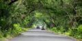 Uncover Dihang Dibang National Park: The Ultimate Tour Guide - TripXL