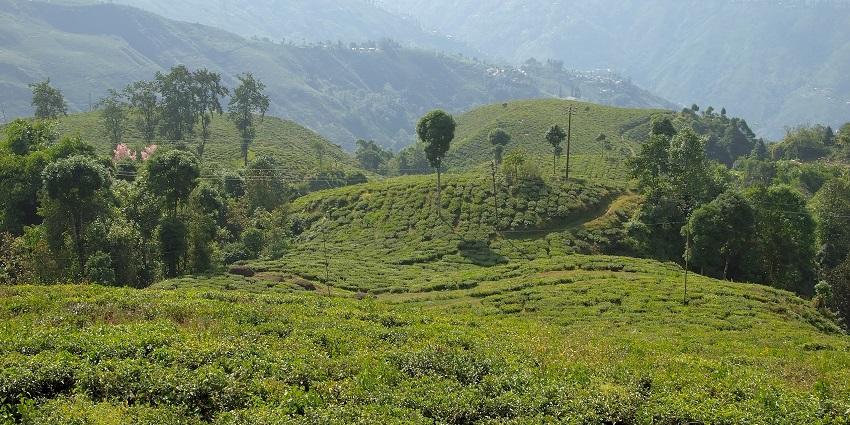 Airports In Darjeeling: Experiencing The Scenic Flight Journey - TripXL