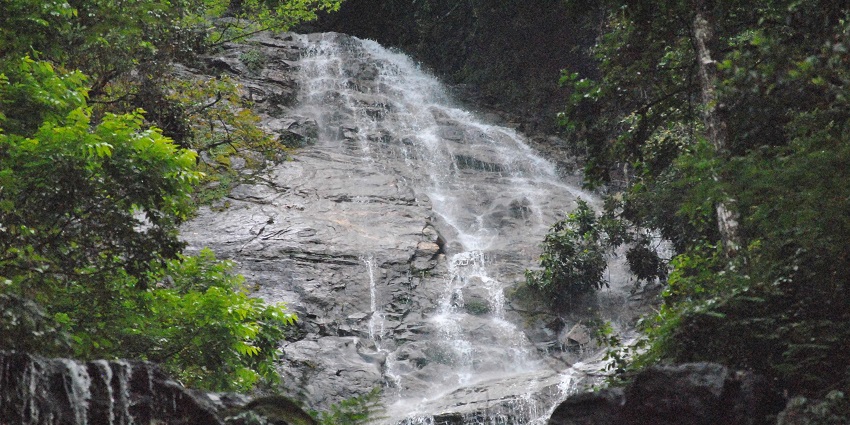 10 Waterfalls In Sikkim: Top Cascading Marvels To Explore - TripXL