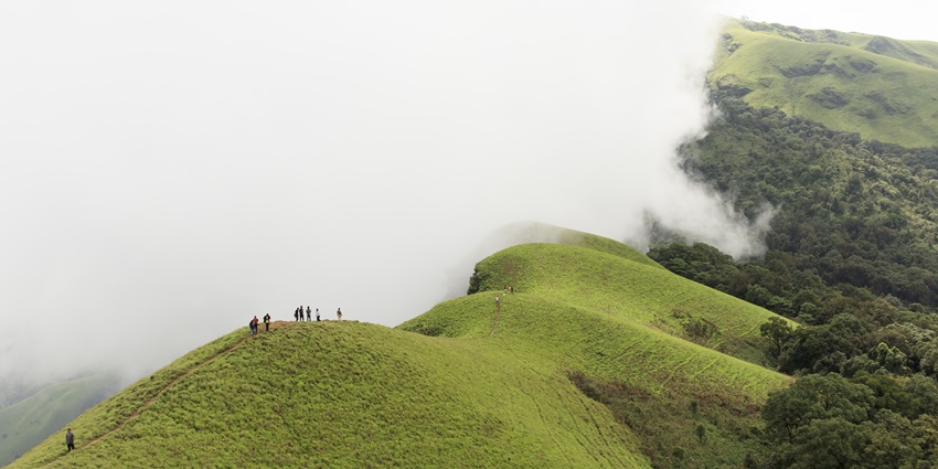 Sirohi National Park: Wildlife, Trekking, And Scenic Beauty - TripXL