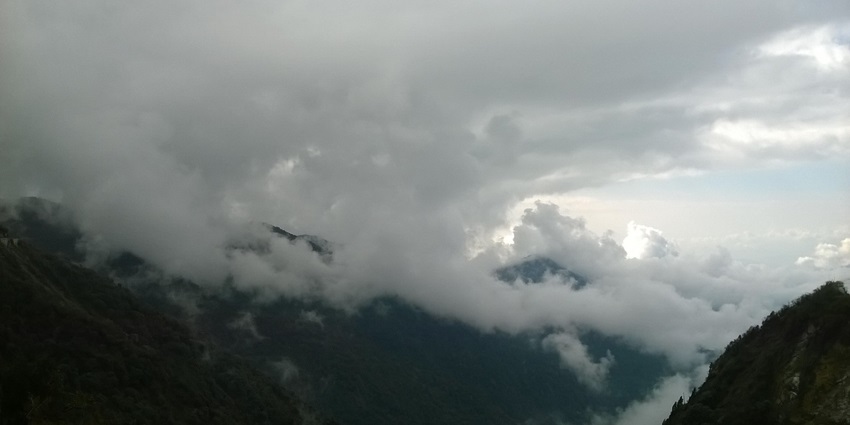 Wildlife Sanctuaries In Sikkim: A Glimpse Of Flora And Fauna - TripXL
