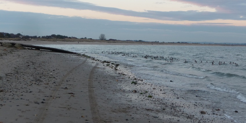 Colombo Beaches: Explore The Best Top 10 Beaches Of Colombo - TripXL