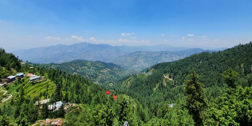 Kufri Zoo: The Hidden Himalayan Nature Park In Himachal - TripXL