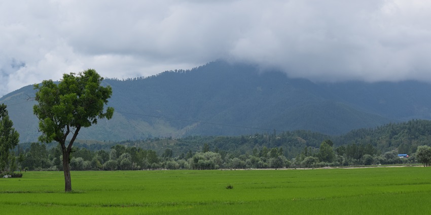 Kalaroos Caves: A Guide To The Legendary Depths Of Nature - TripXL