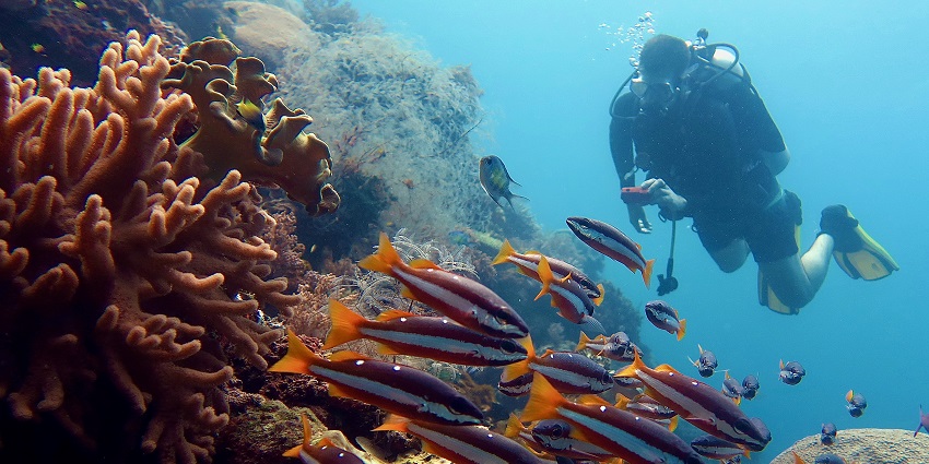 Scuba Diving Indonesia: An Adventurer’s Guide - TripXL