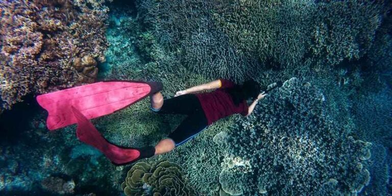 Scuba Diving In Neil Island: A Sport For Adventure Lovers - TripXL