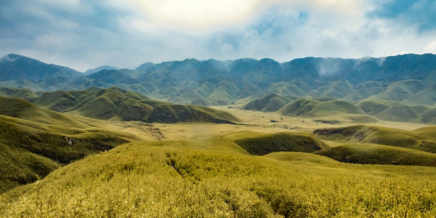 Intanki National Park: A Hub For Nature & Wildlife Lovers - TripXL