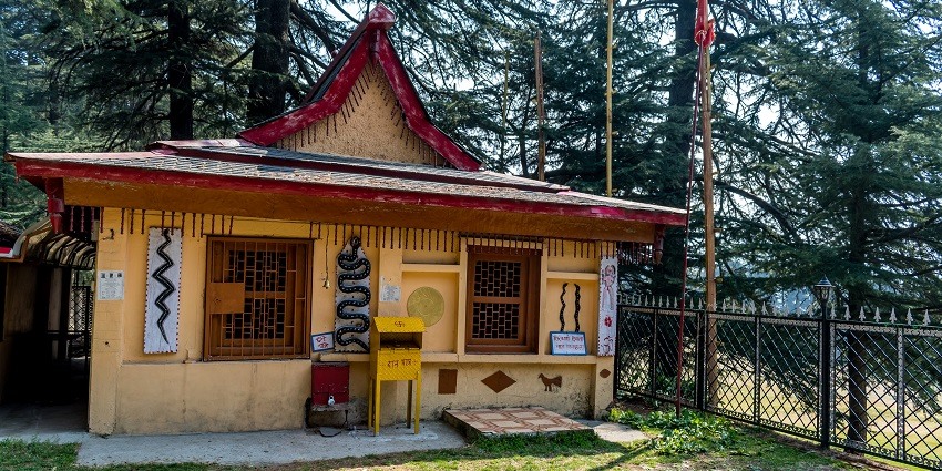 6 Things To Do In Naldehra: Your Adventures In The Hills - TripXL