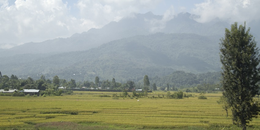 Keibul Lamjao National Park: Explore Manipur’s Exotic Fauna - TripXL