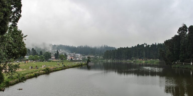 Places to Visit in Mirik: A Tranquil Hill Station Getaway - TripXL
