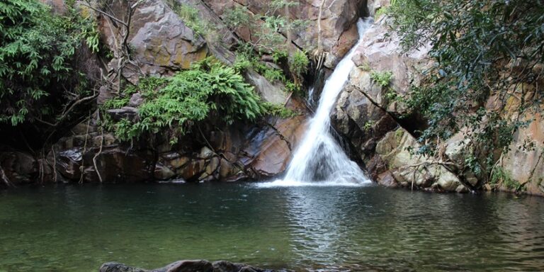 Waterfalls In Tirupati: Tick Off These Places On Your List - TripXL