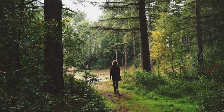 Ukiam Picnic Place: A Hidden Gem in Meghalaya's Scenic Hills - TripXL