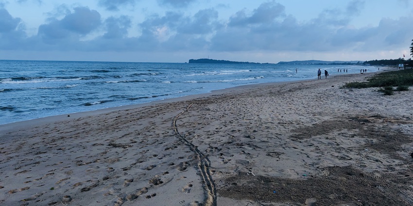 Nilaveli Beach: Take A Dive Into Sparkling Ocean Waters - TripXL