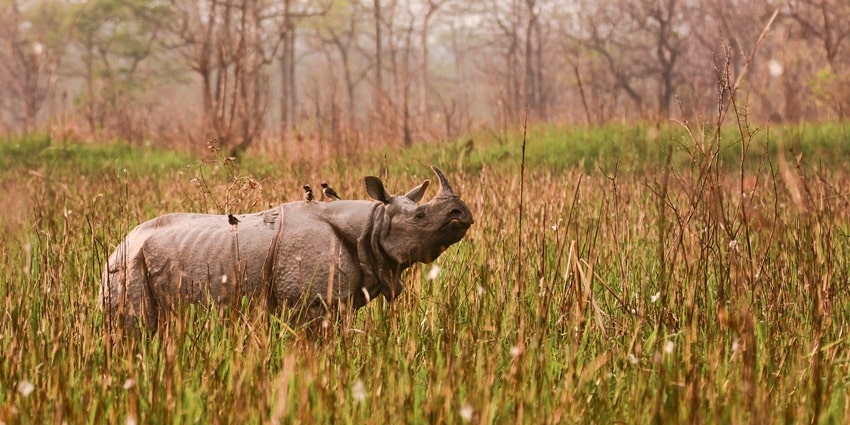 Places To Visit In Nagaon: Top Attractions & Hidden Gems - TripXL