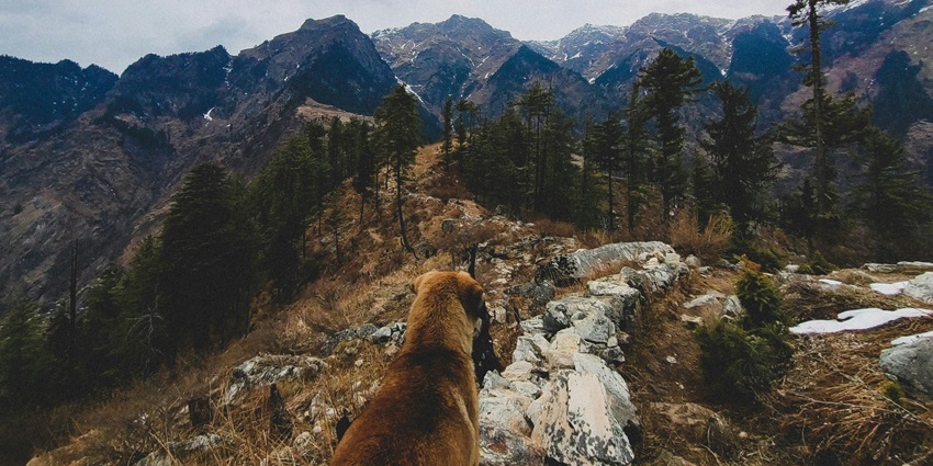 Top 12 Places To Visit Near Kasol For A Memorable Getaway - TripXL