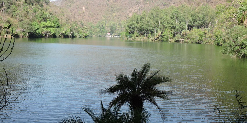 Renuka Wildlife Sanctuary: Step Into Nature’s Embrace - TripXL