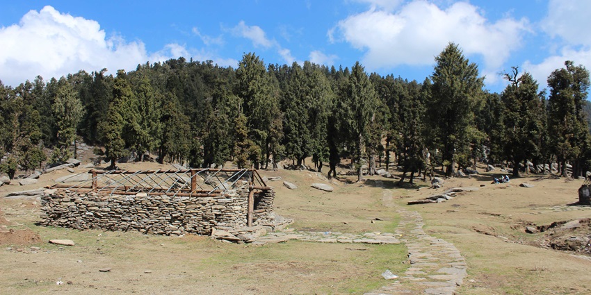 Churdhar Wildlife Sanctuary: A Hidden Treasure In Himalaya - TripXL