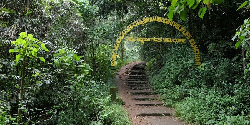 Exploring Siju Caves Meghalaya: A Complete Guide - TripXL