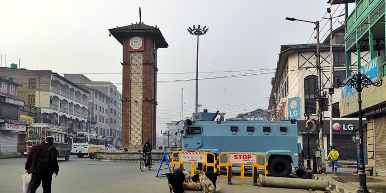 Top 10 Markets To Enjoy Shopping In Srinagar - TripXL