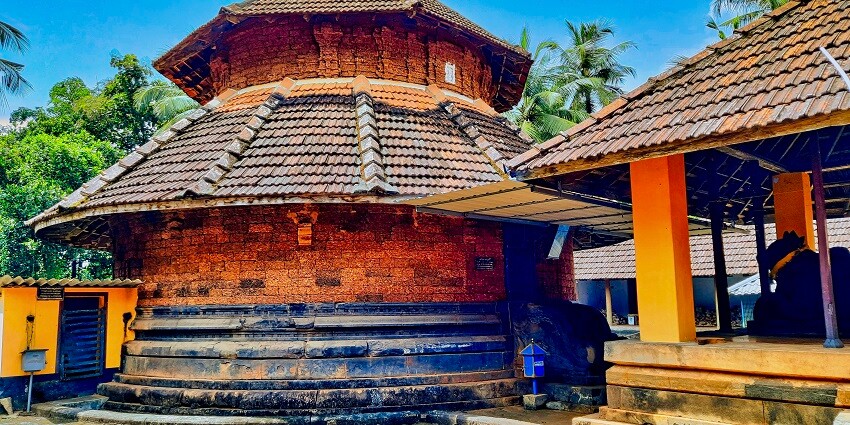 Pandikuzhi Watеrfalls: Scenic Views & Natural Beauty- TripXL
