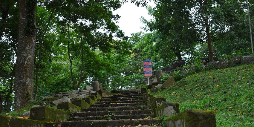 Dehing Patkai National Park: Explore Assam's Natural Reserves - TripXL