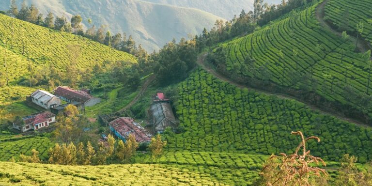 Top 13 Places To Visit In Karbi Anglong: Traveller’s Guide - TripXL