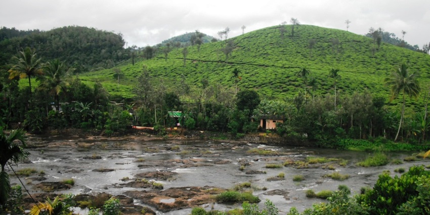 Sabarimala Traditional Trekking Path: Spirituality Awaits - TripXL