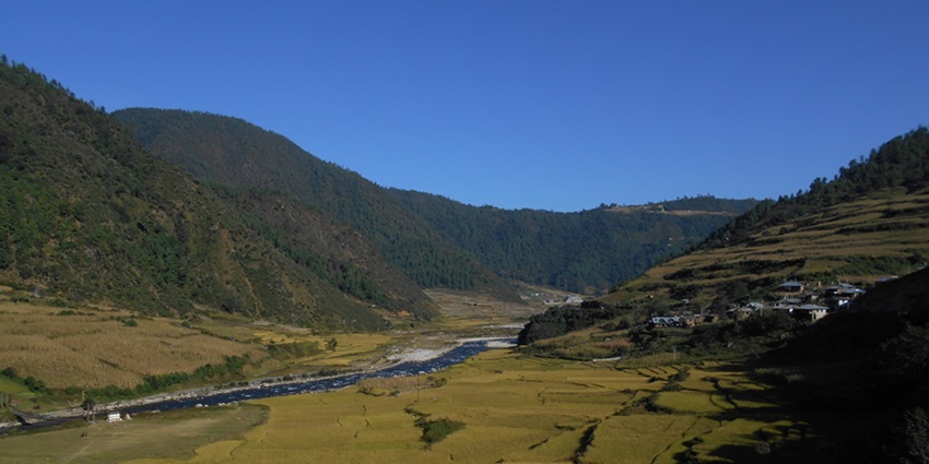 Discover Bornadi Wildlife Sanctuary: Assam's Hidden Gem - TripXL