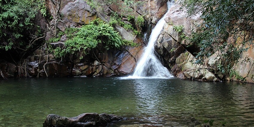 Talakona Waterfall: Discover Majestic Waterfall In Tirupati - TripXL