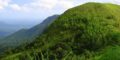 10 Places To Visit Near Thrissur For A Perfect Natural Embrace - TripXL