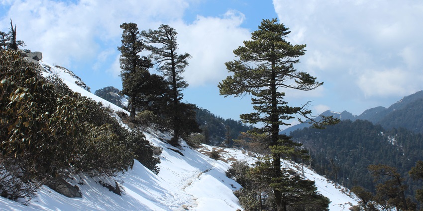 Churdhar Wildlife Sanctuary: A Hidden Treasure In Himalaya - TripXL