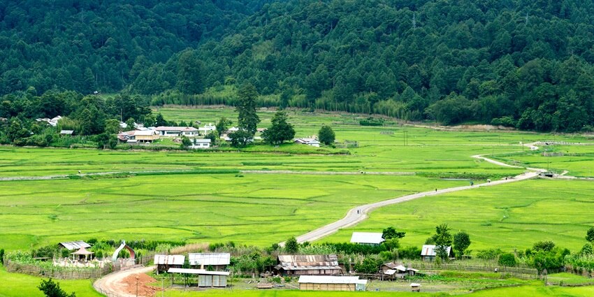 The Top 8 Places To Visit In Ziro: A Traveller’s Delight - TripXL